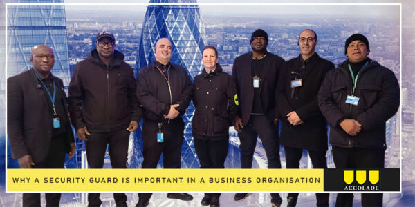 Why a Security Guard is Important in a Business Organisation?